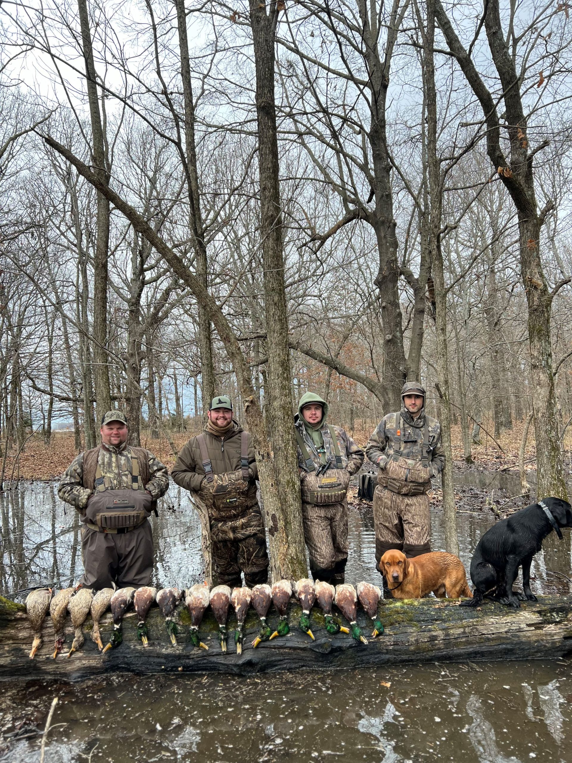 Gallery | Turnt Up Waterfowl