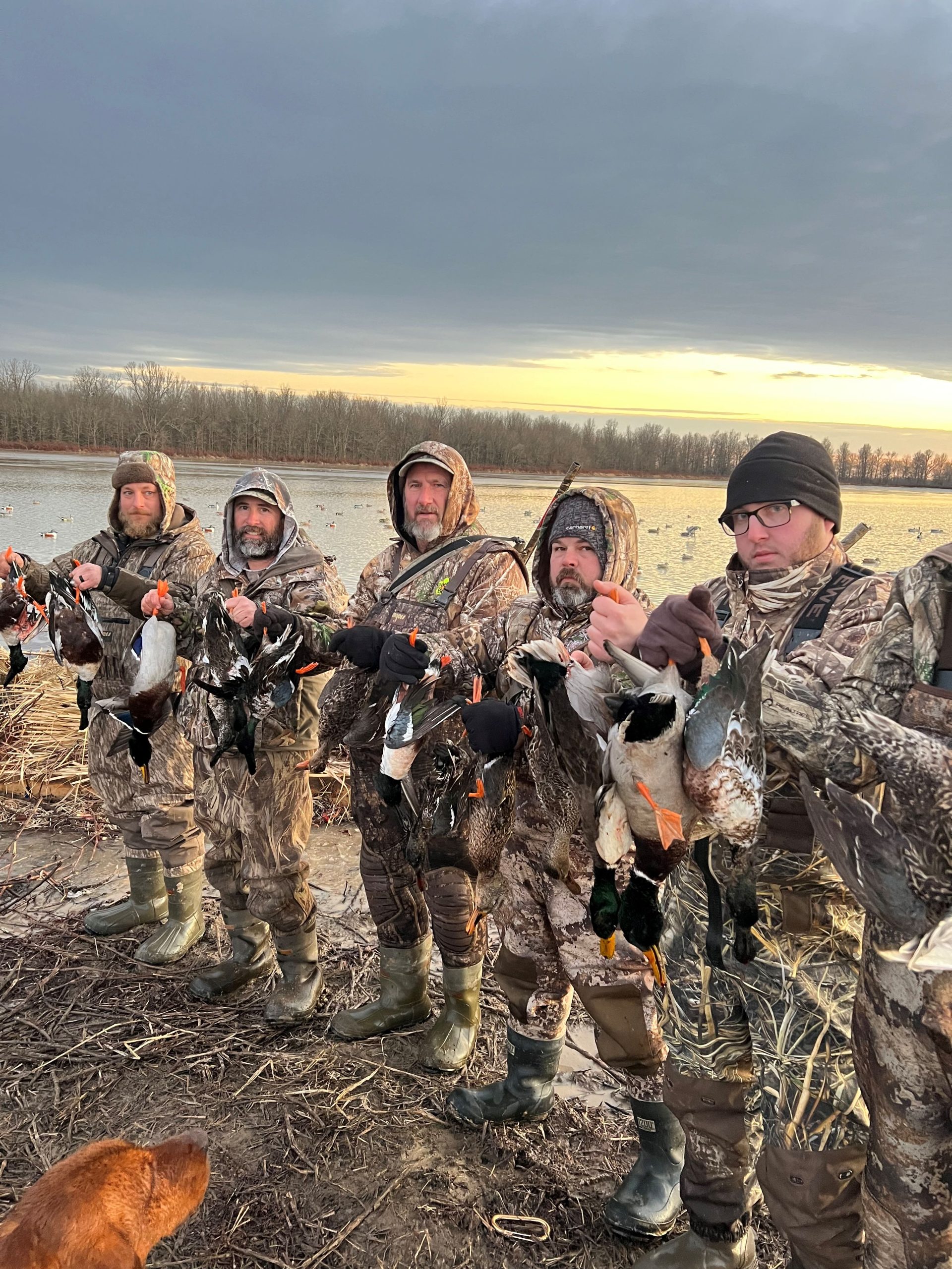 Gallery | Turnt Up Waterfowl